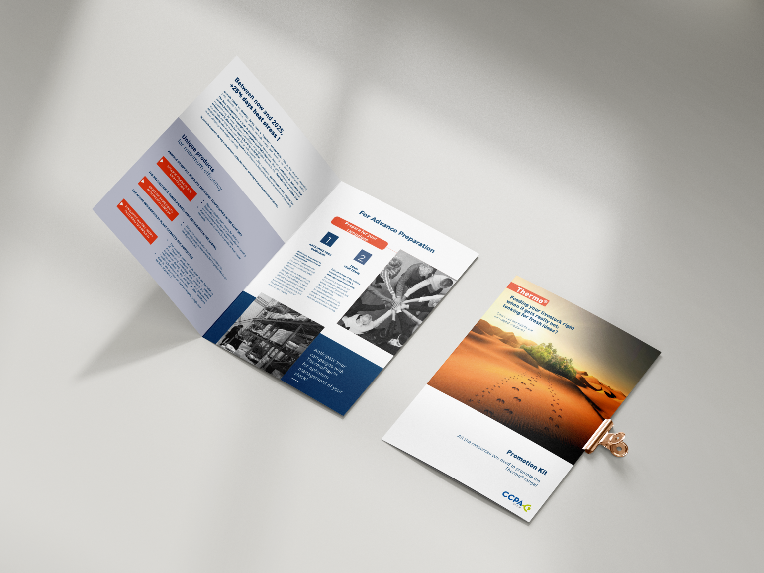 Commercial leaflet | Thermo