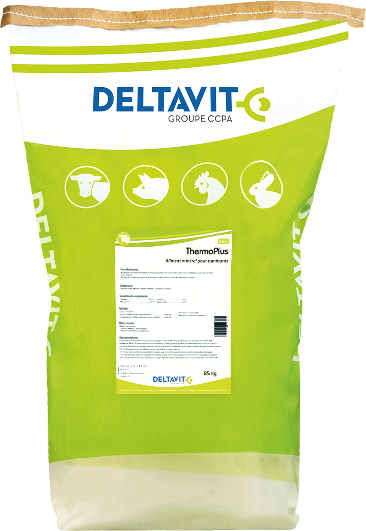 Delta® ThermoPlus® - Ruminants - Heat stress | Thermo