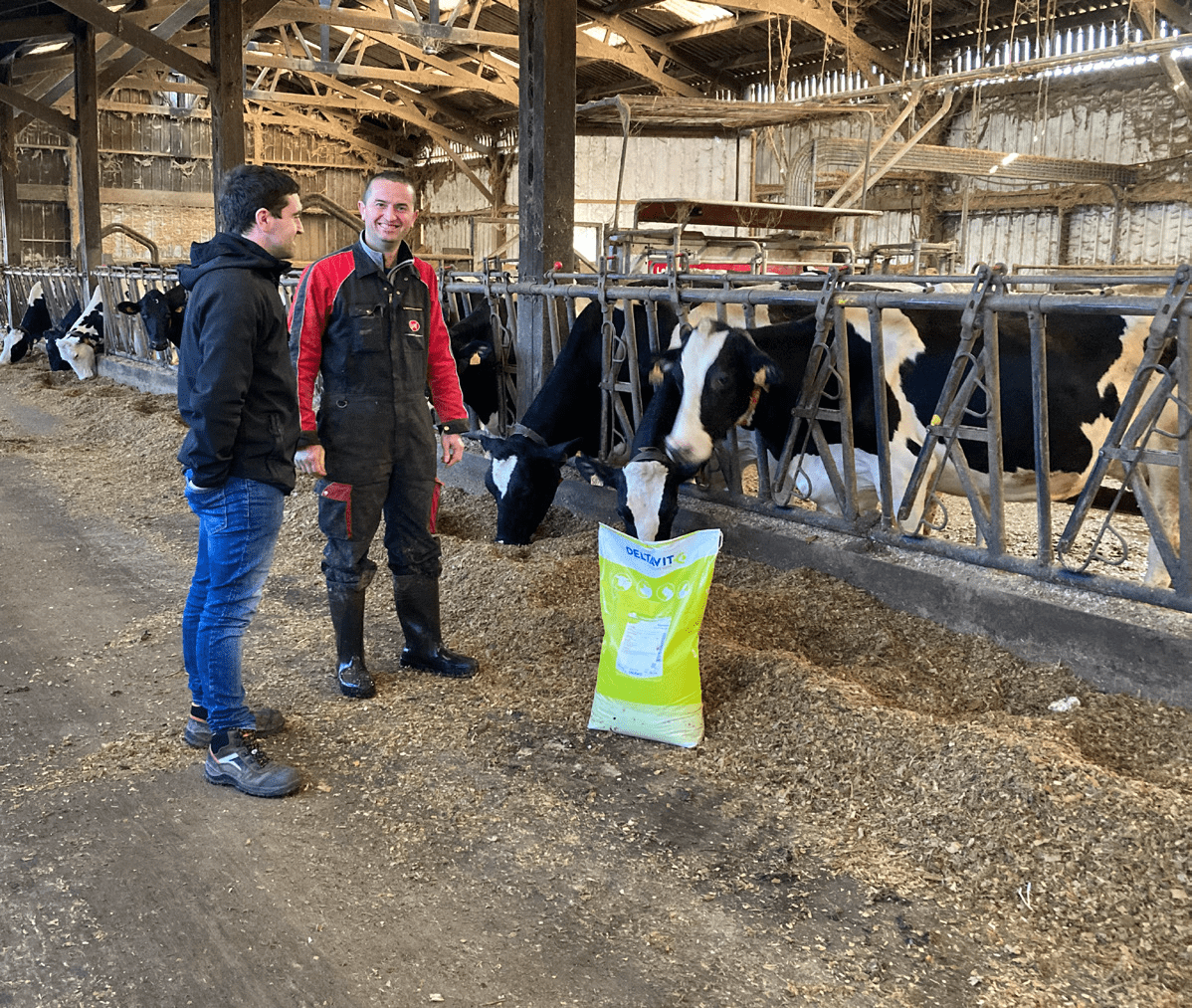 Thermo®Plus dairy cows: farmer's testimony | Thermo®